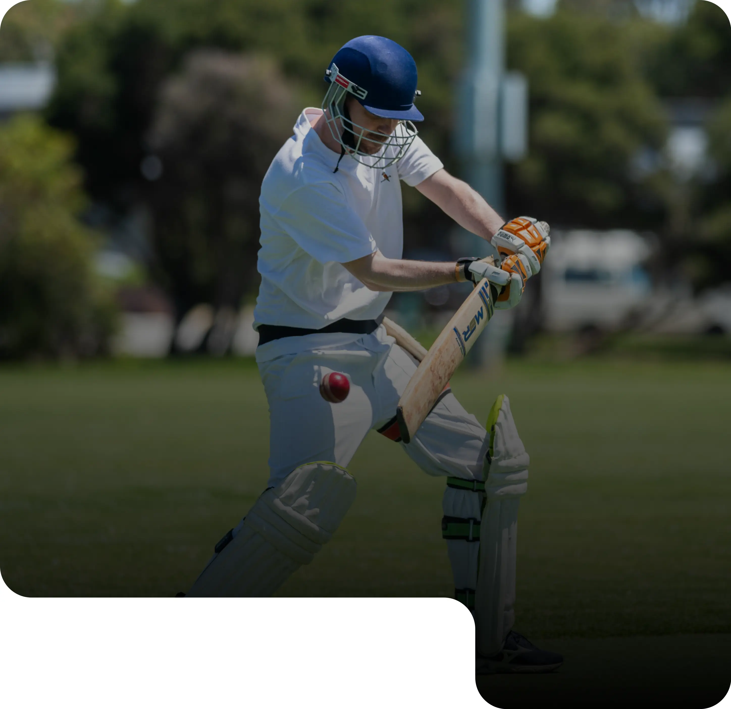 AP SPORTS DSC
